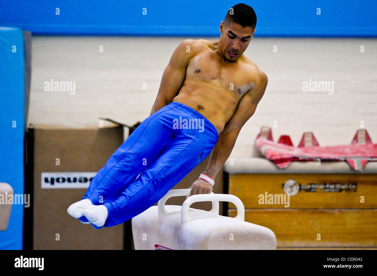 Louis Smith Great Britain Squad Gymnast pictured training with the ...