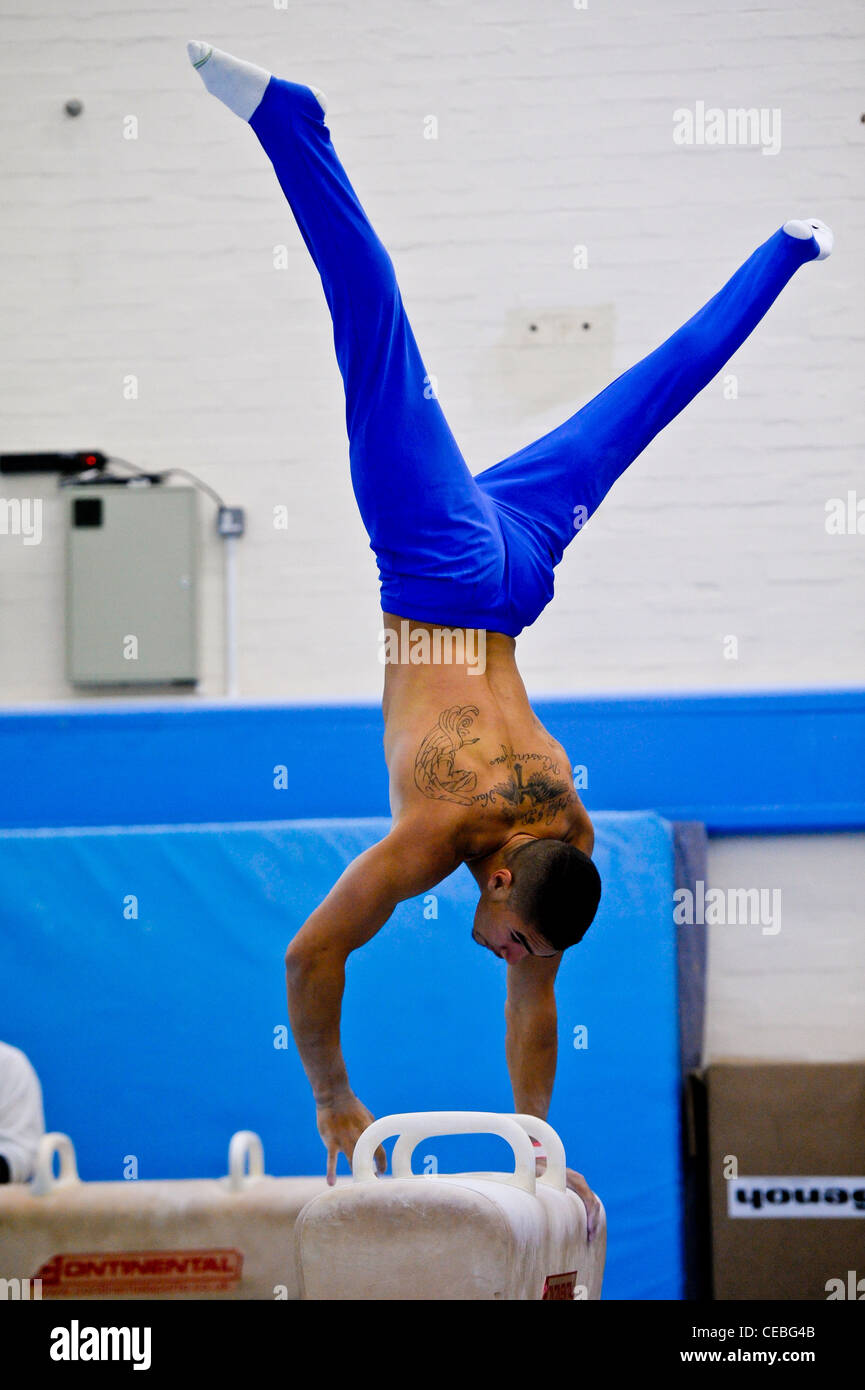 Louis Smith Great Britain Squad Gymnast pictured training with the ...