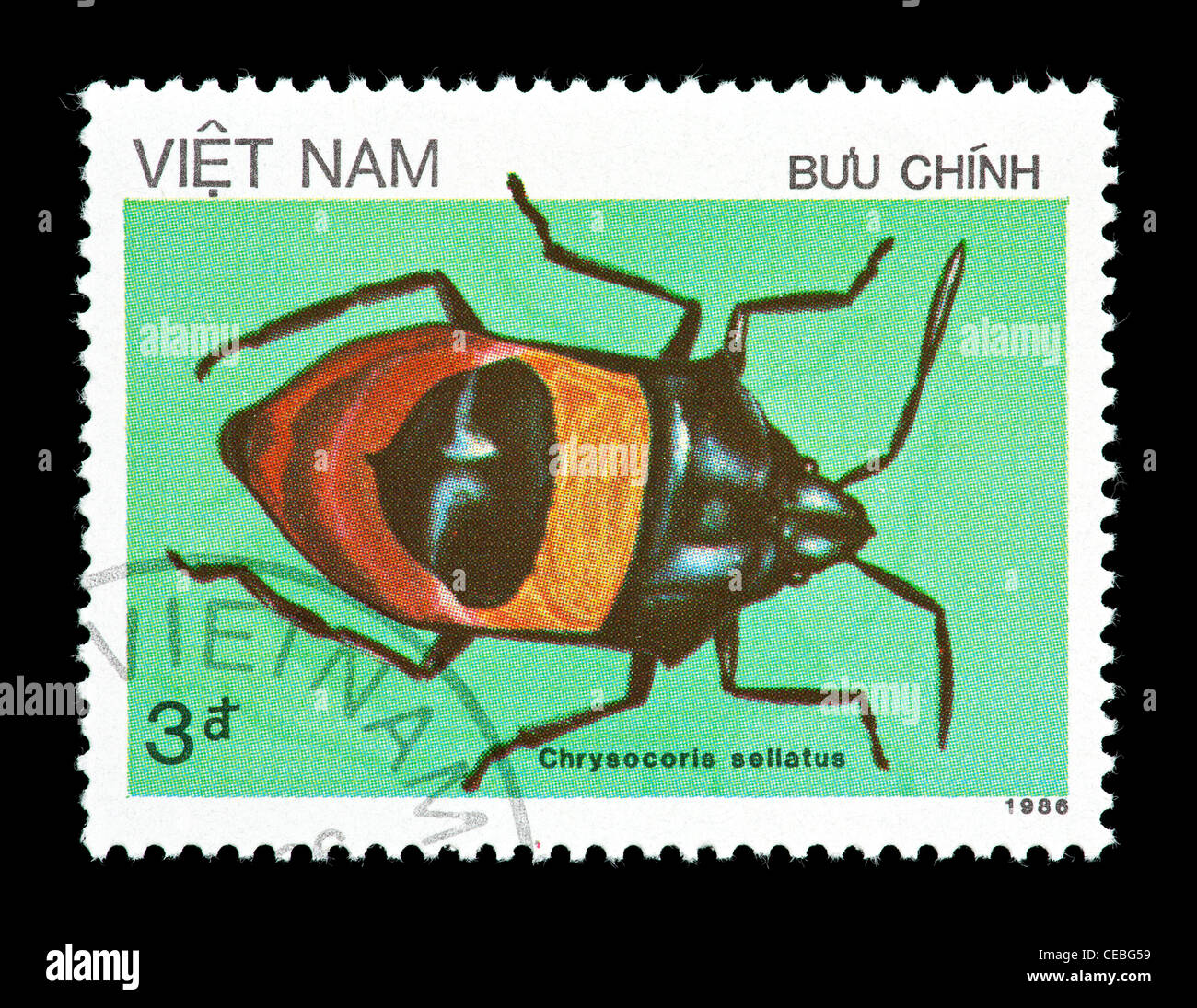Postage stamp from Vietnam depicting a true bug (Chrysocoris sellatus ...