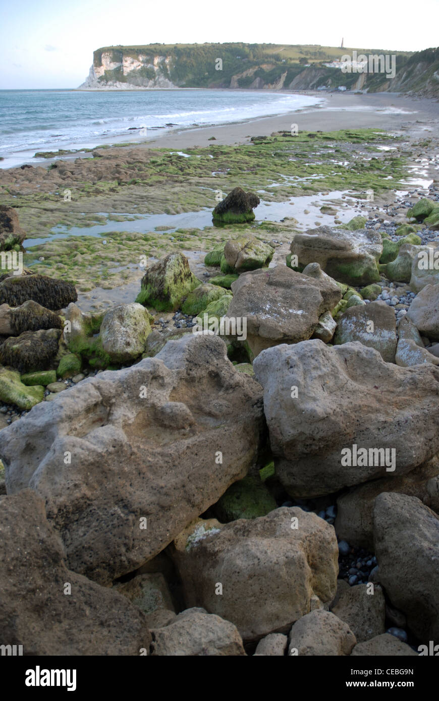 Whitecliff and culver down hi-res stock photography and images - Alamy