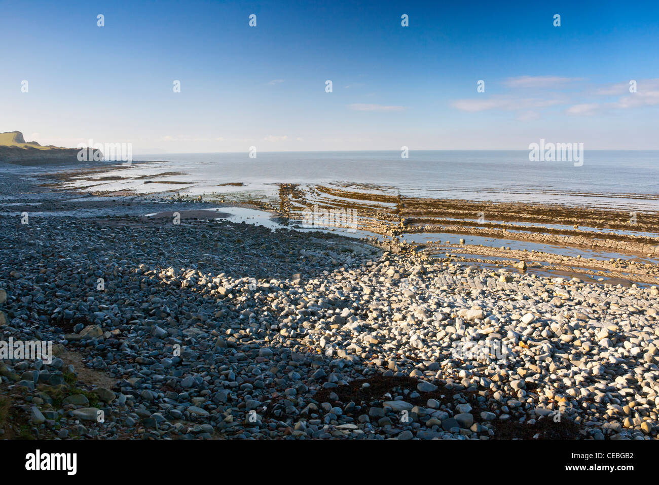 Dramatic blue lias rock strata and visible fault lines on the beach at ...