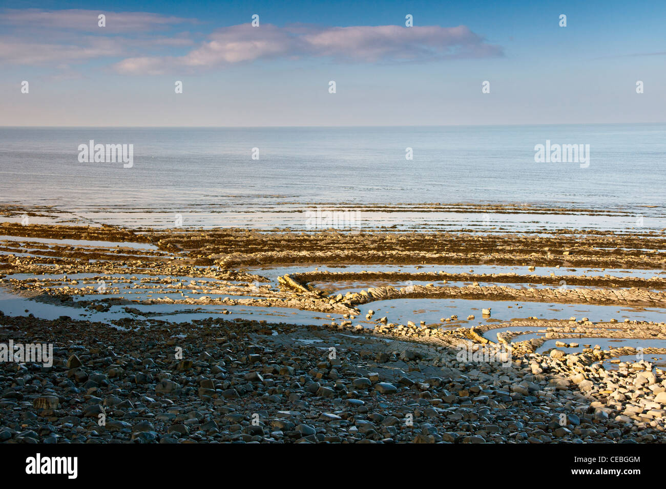 Dramatic blue lias rock strata and visible fault lines on the beach at ...
