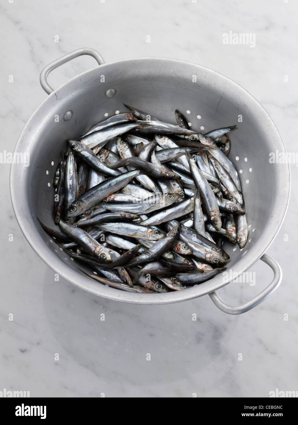 Fresh whitebait hi-res stock photography and images - Alamy