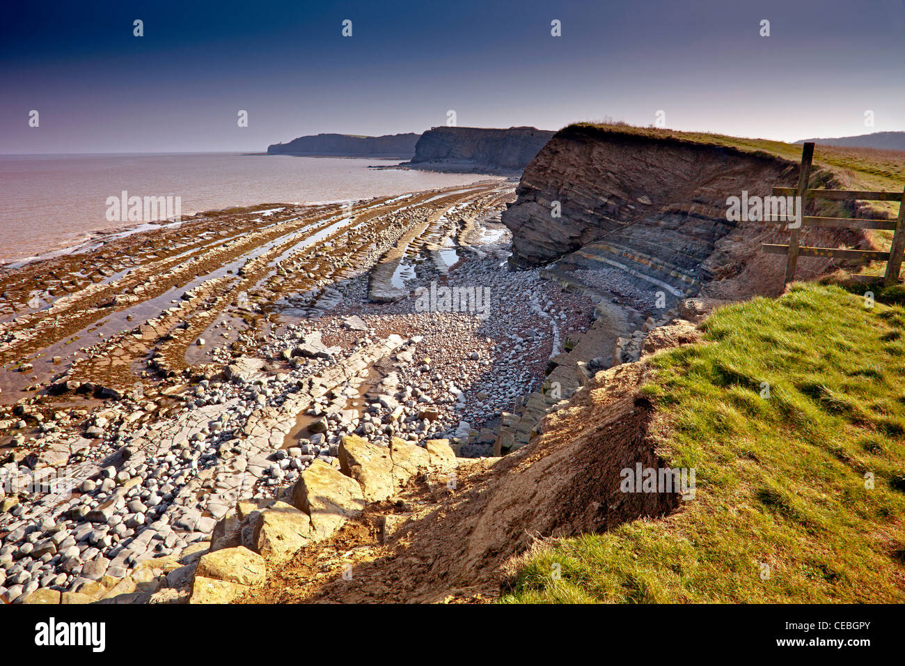 Dramatic blue lias rock strata on the beach at Kilve on the Bristol ...