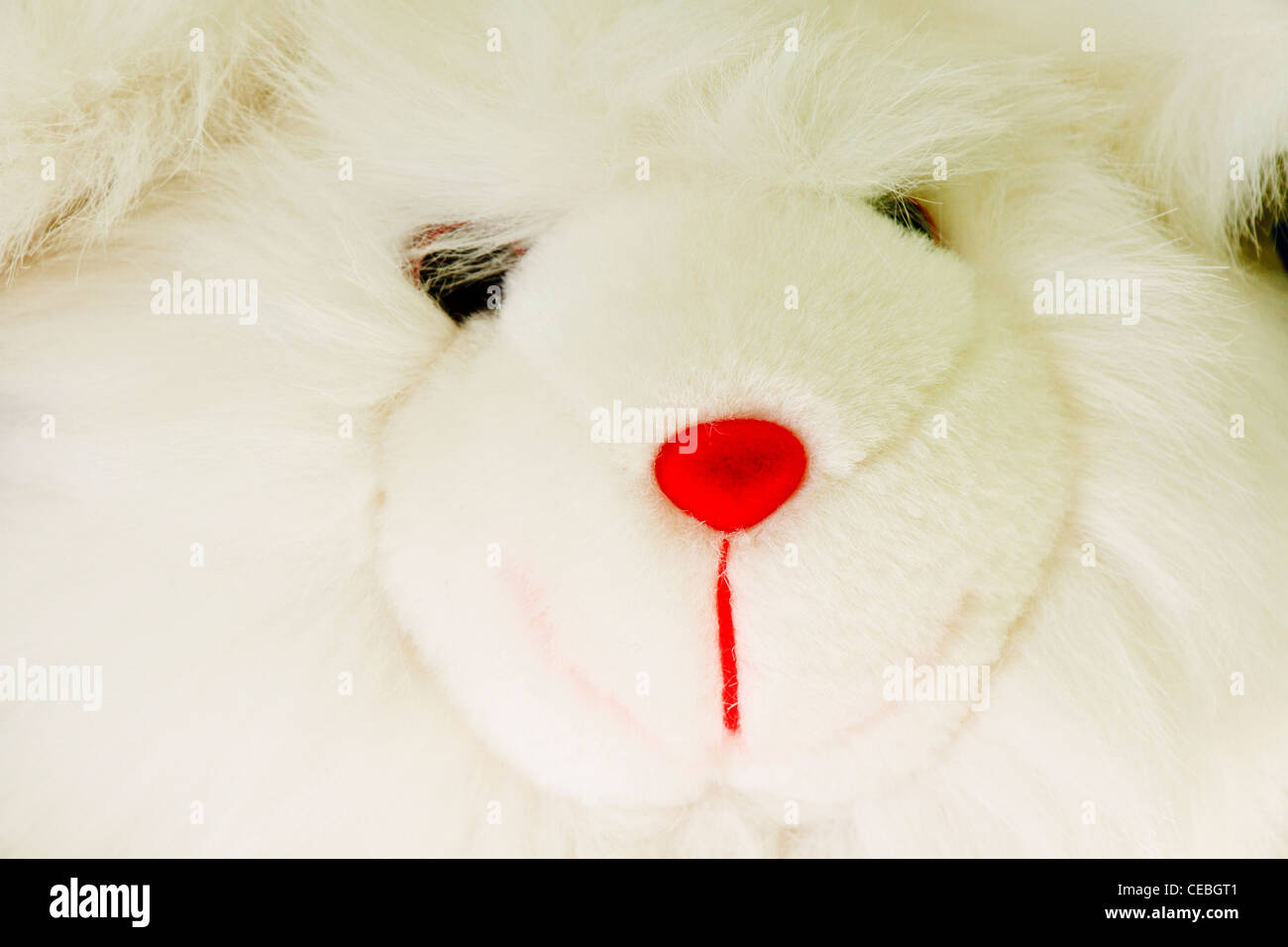 Toy rabbit face Stock Photo - Alamy