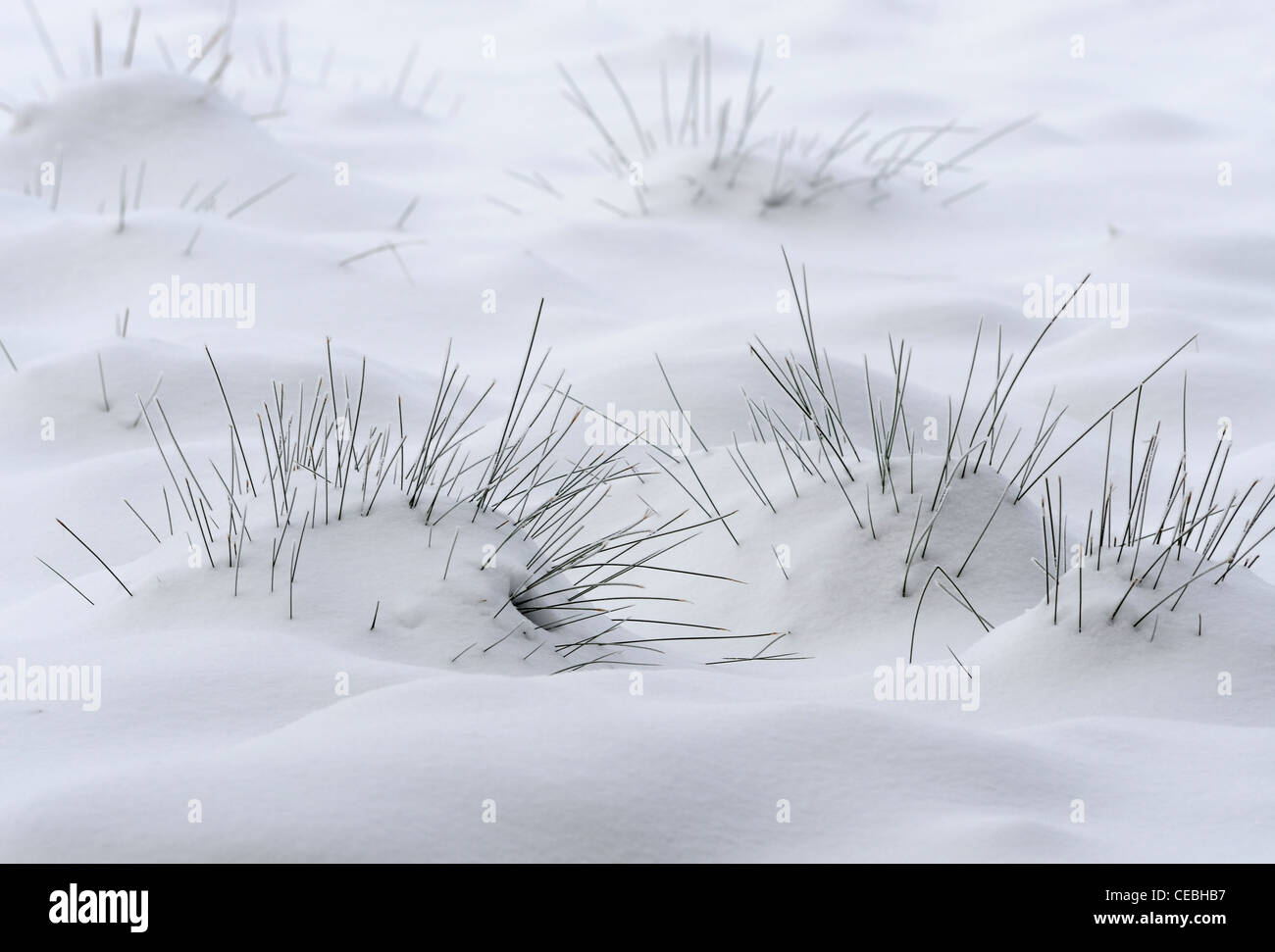 Freak snowfall hi-res stock photography and images - Alamy