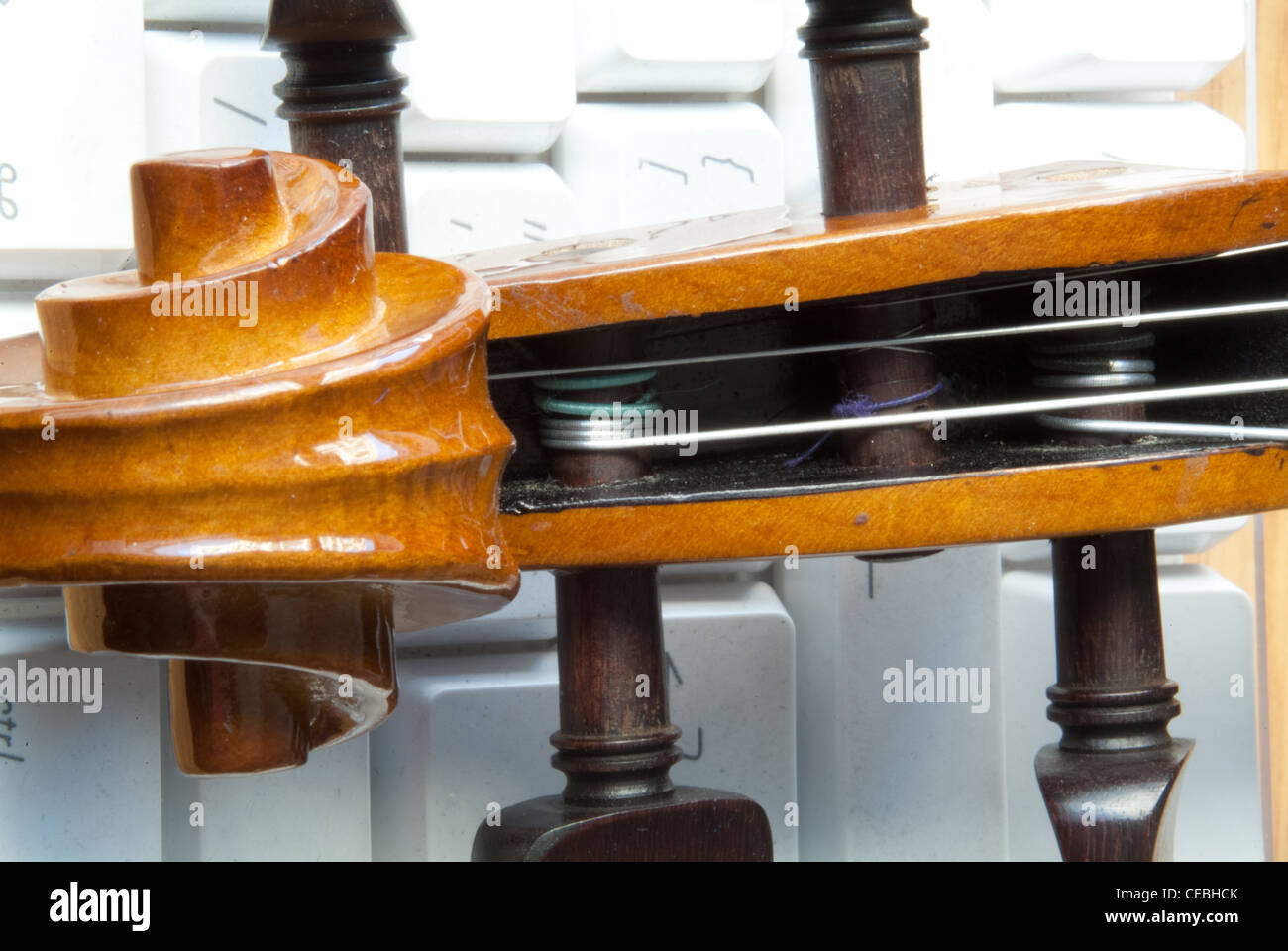 Violin, Pegs, Strings Stock Photo - Alamy