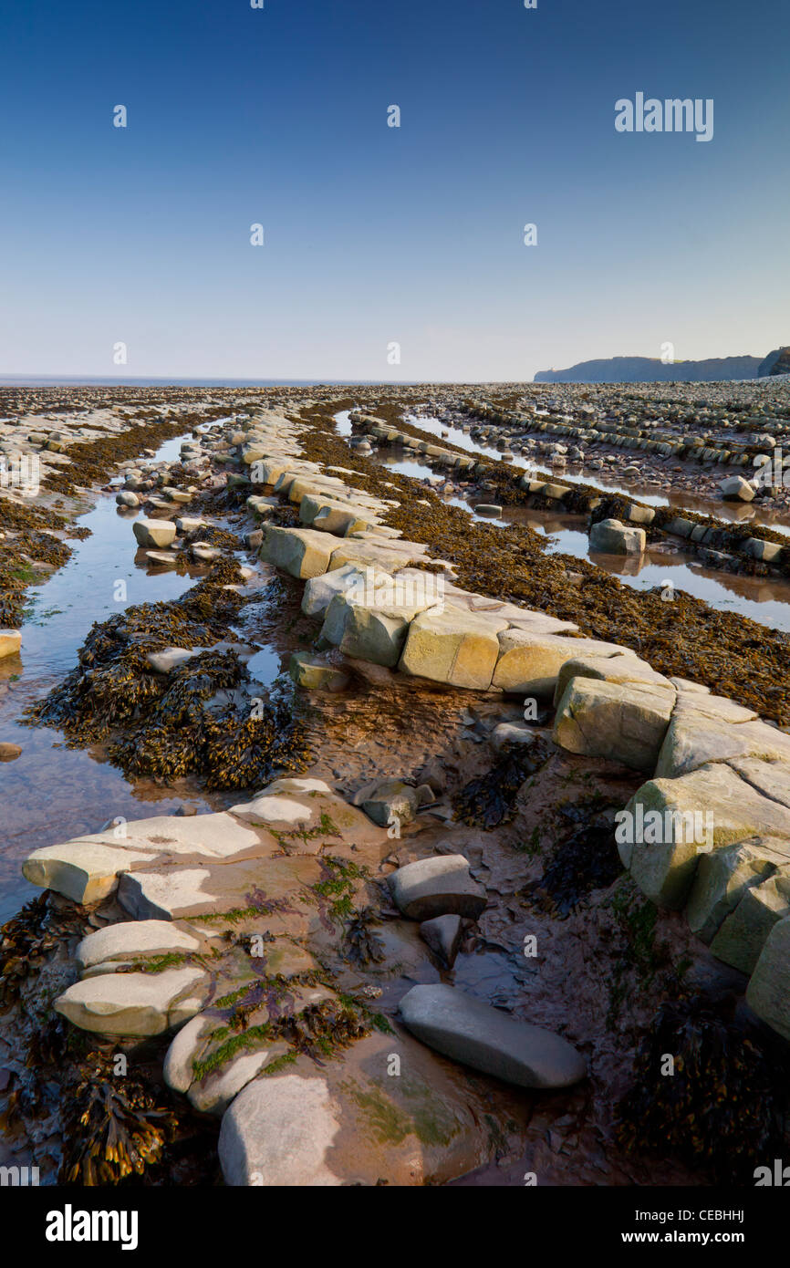 English lias hi-res stock photography and images - Alamy