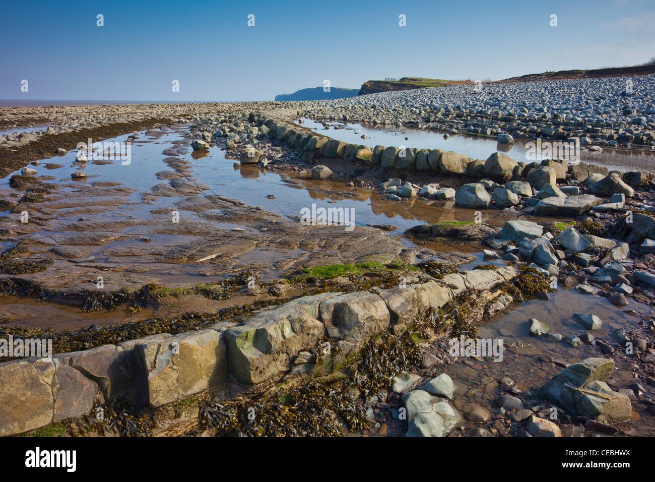 Dramatic blue lias rock strata on the beach at Kilve on the Bristol ...