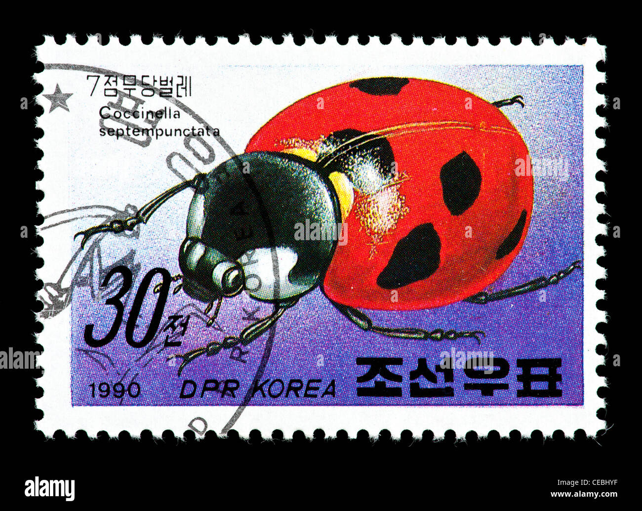 Postage stamp from North Korea depicting seven-spotted lady bug ...