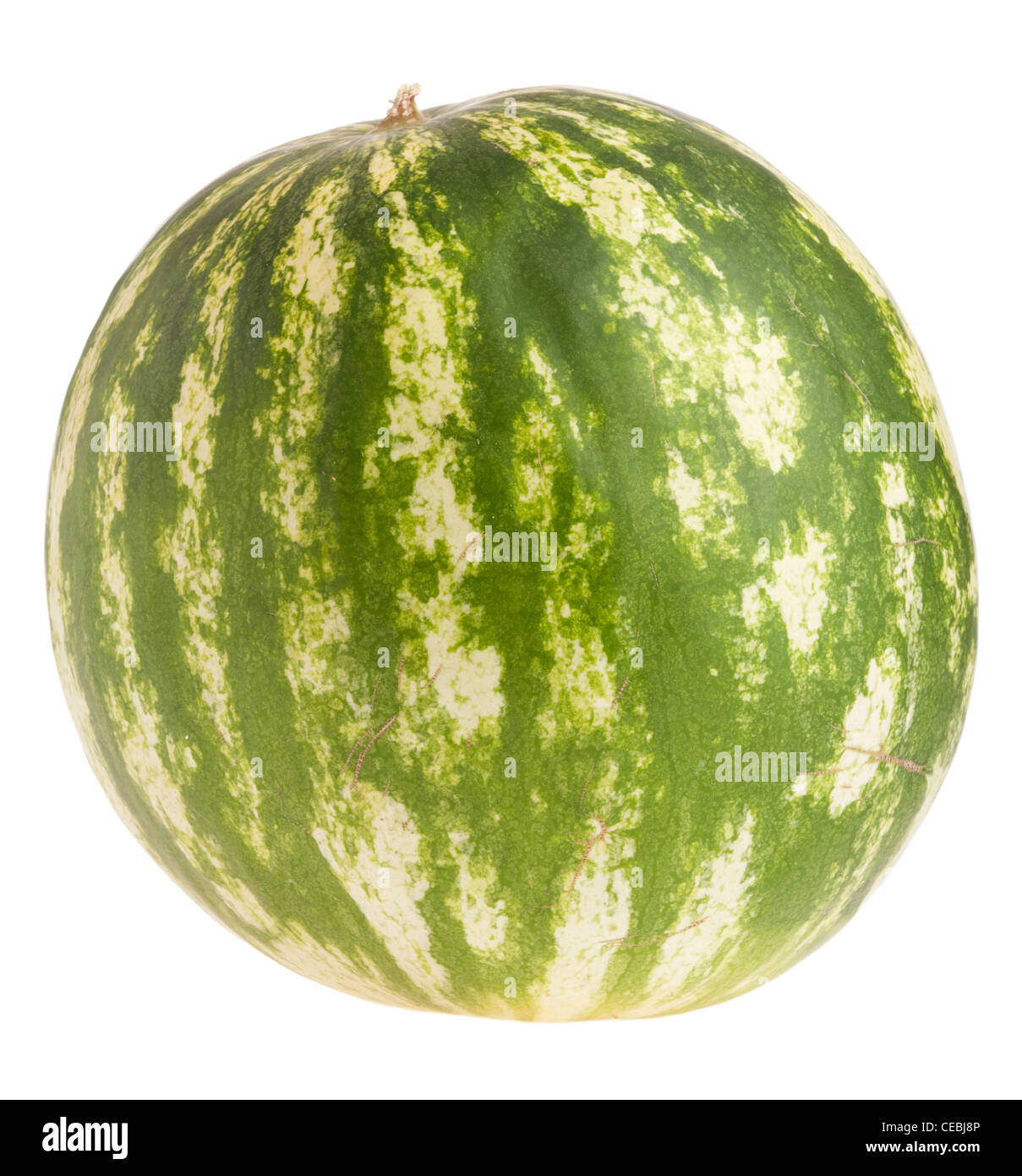 W watermelon hi-res stock photography and images - Alamy