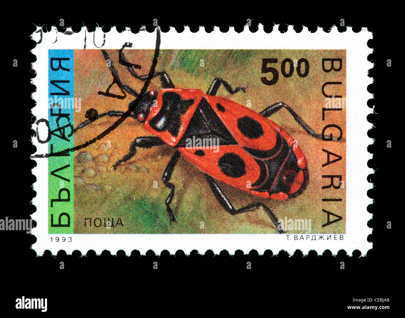Postage stamp from Bulgaria depicting carrion beetle Stock Photo - Alamy