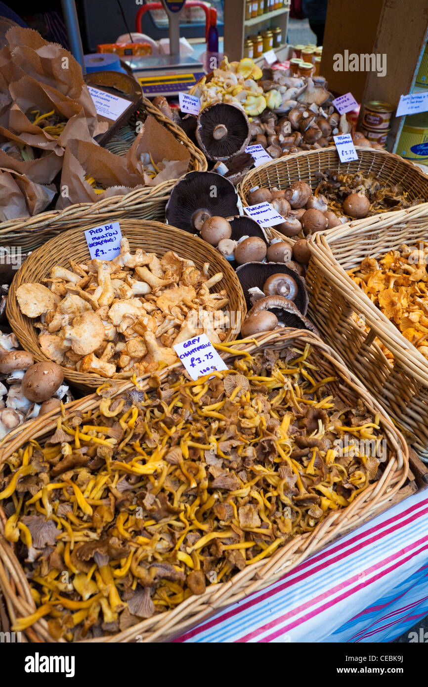 Mushrooms on market stall, London, UK Stock Photo - Alamy