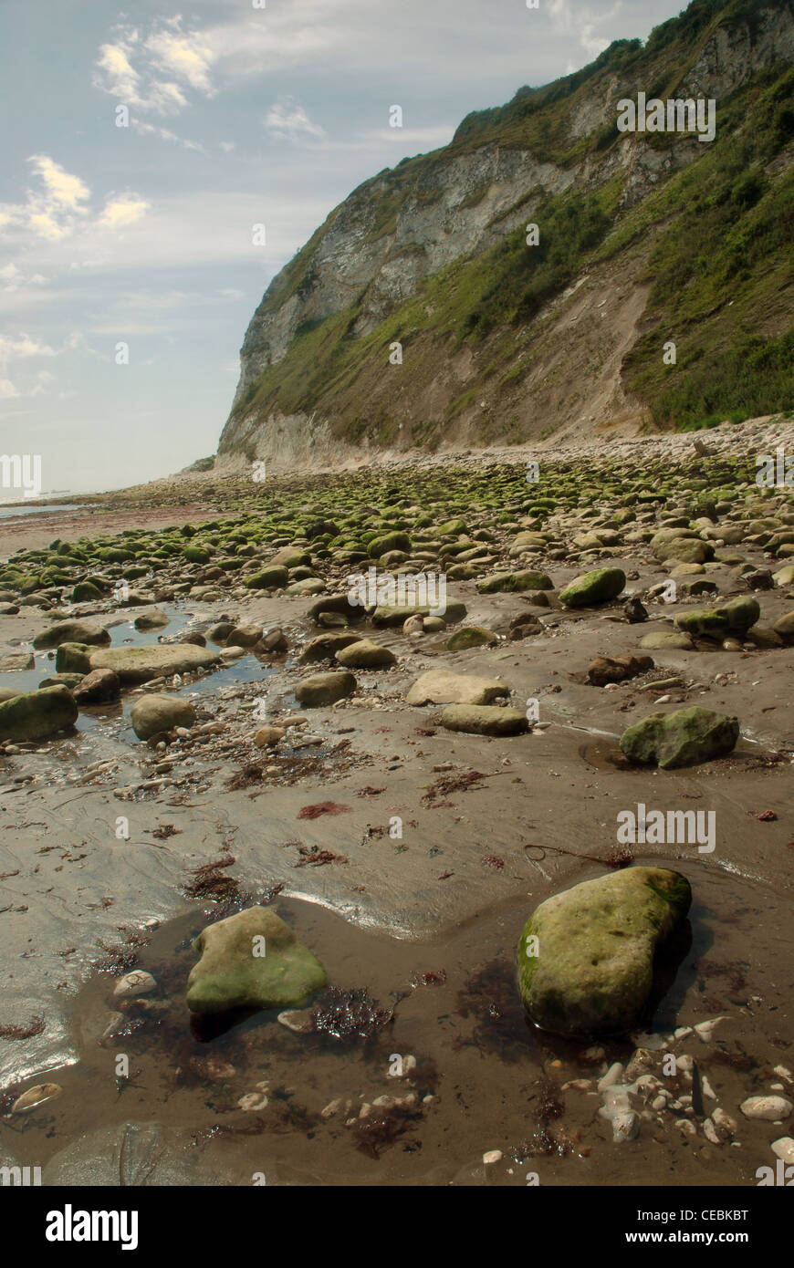Whitecliff Bay Isle of Wight, Hampshire, England Stock Photo - Alamy