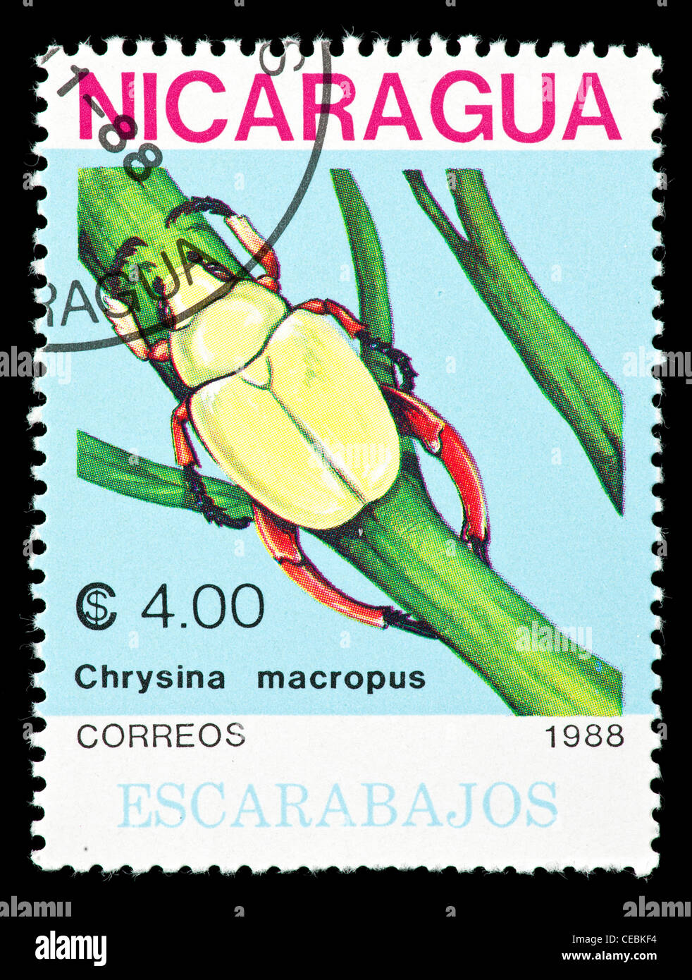 Postage stamp from Nicaragua depicting a beetle (Chrysina macropus ...