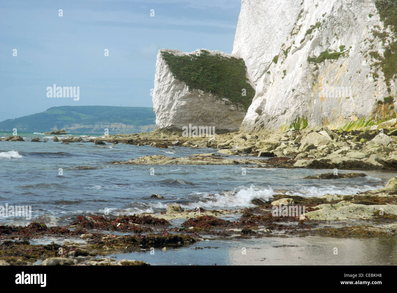Whitecliff Bay Isle of Wight, Hampshire, England Stock Photo - Alamy