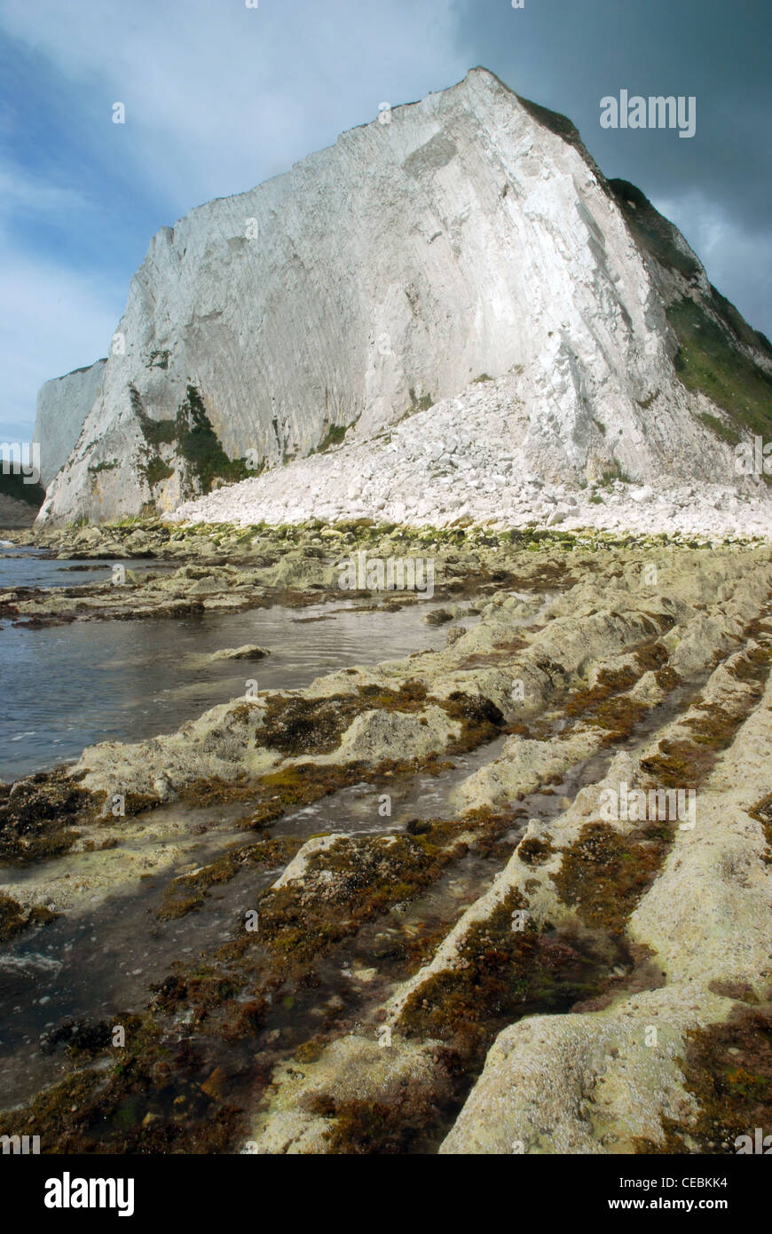 Whitecliff isle wight hampshire hi-res stock photography and images - Alamy