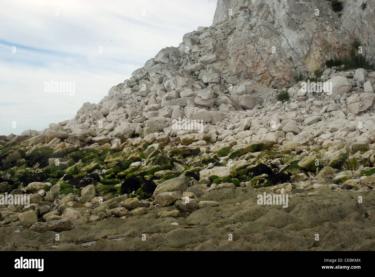 Whitecliff Bay Isle of Wight, Hampshire, England Stock Photo - Alamy