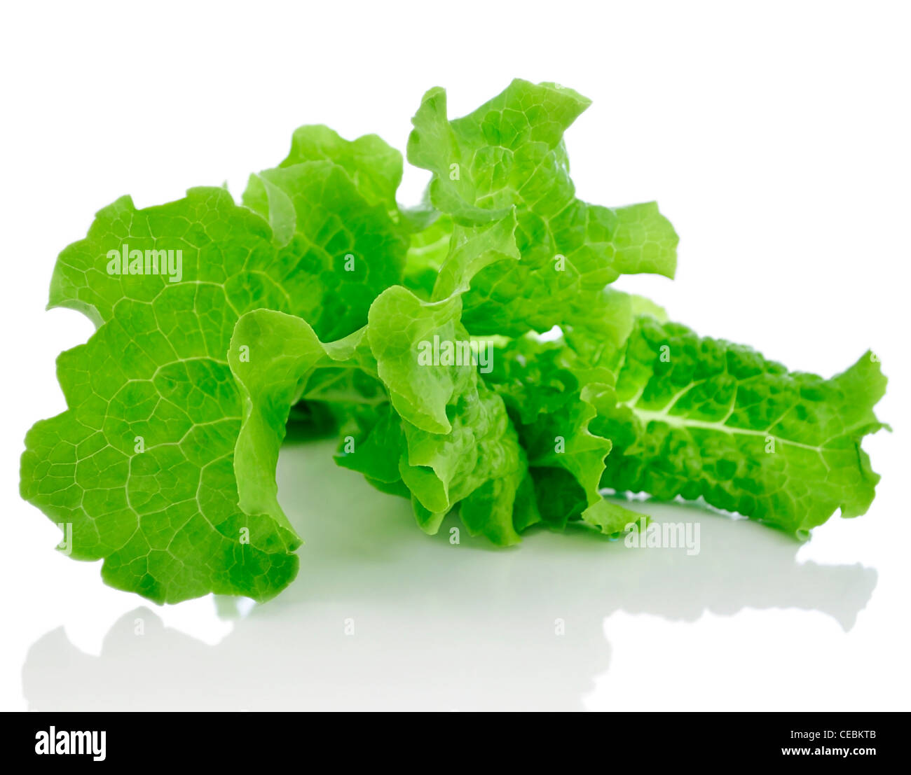 Lettuce on white hi-res stock photography and images - Alamy
