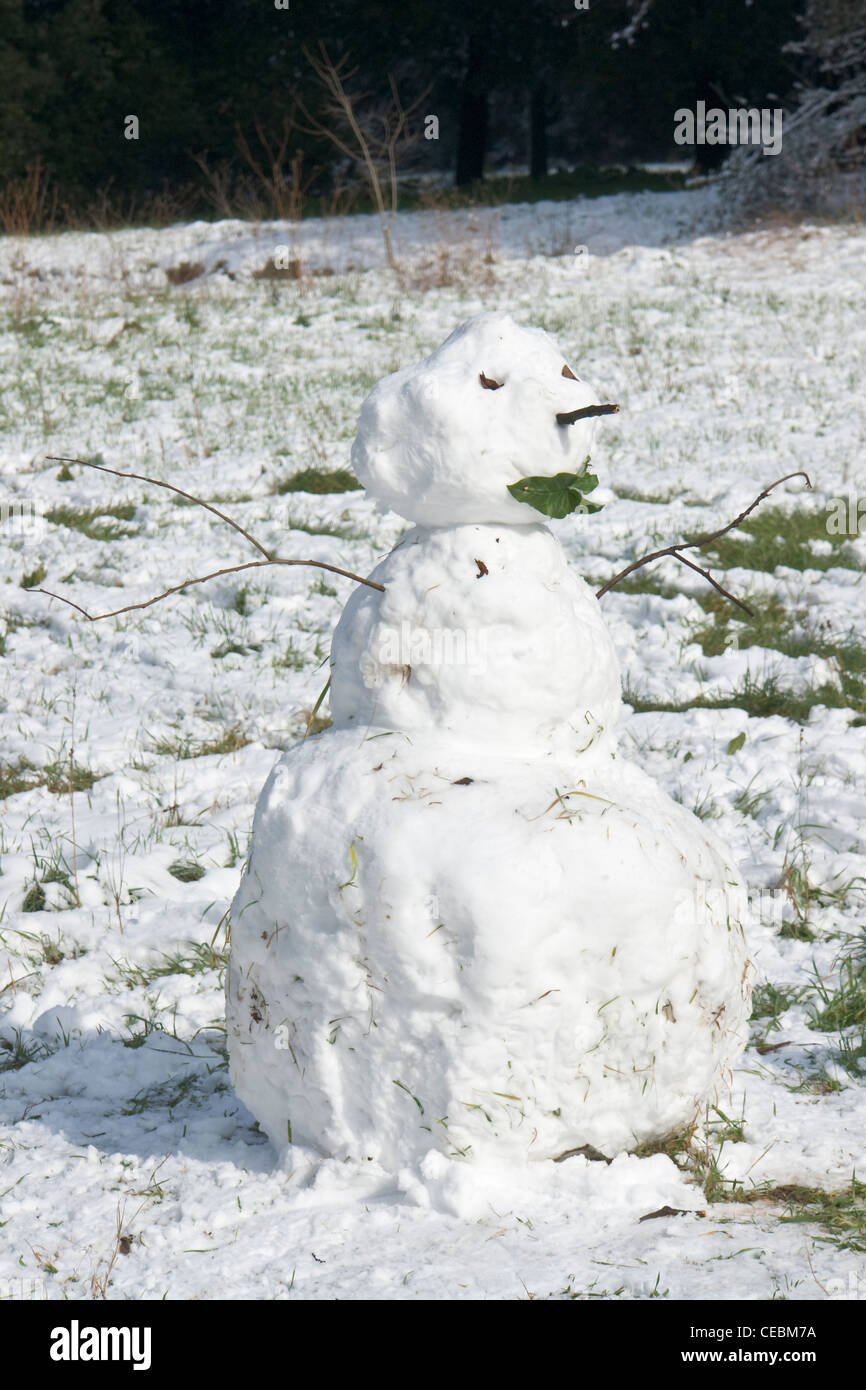 Snowman built after a rare snowfall occurred on February 4th, 2012 in ...