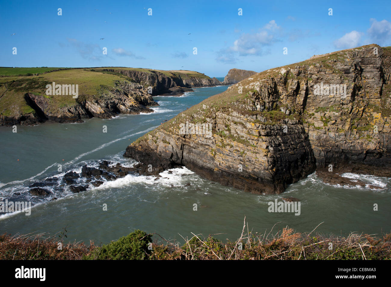 Abercastle hi-res stock photography and images - Alamy