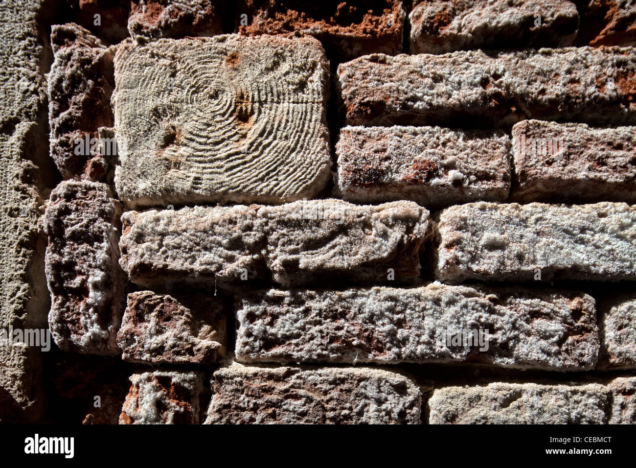 Brick timber exterior wall hi-res stock photography and images - Alamy