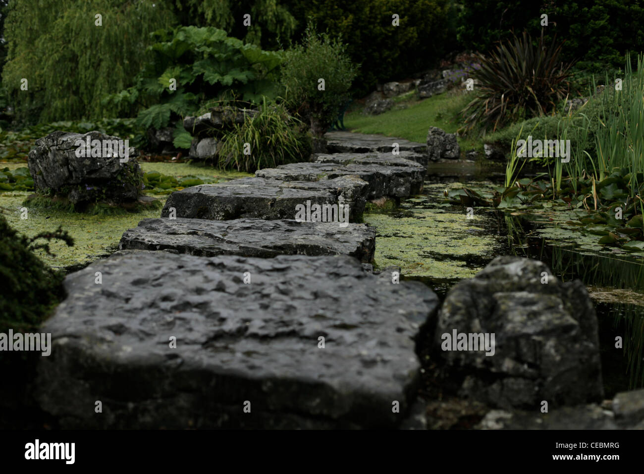 Stepping stones across stream. UK Stock Photo - Alamy
