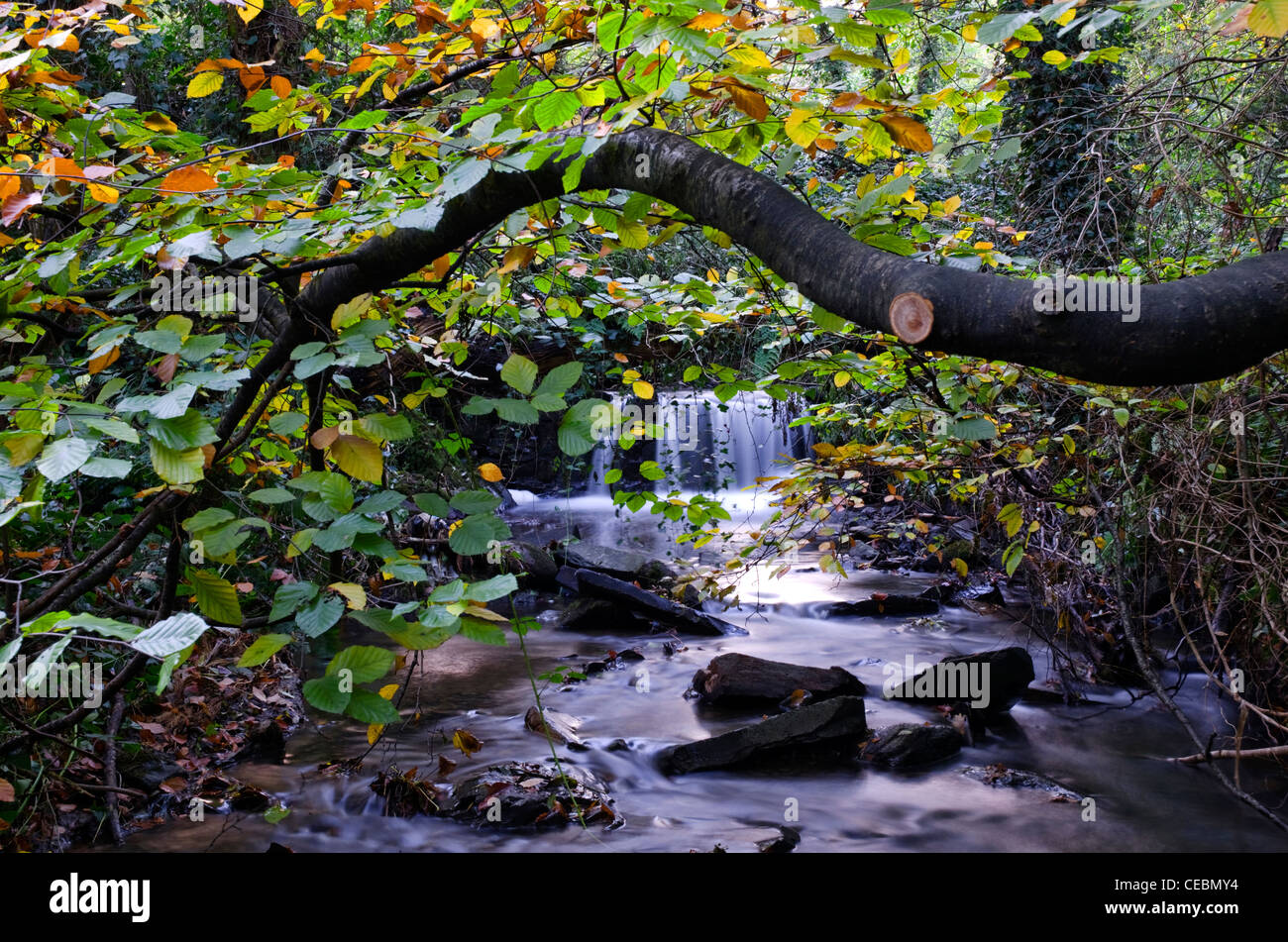 Battle boyne william orange hi-res stock photography and images - Alamy