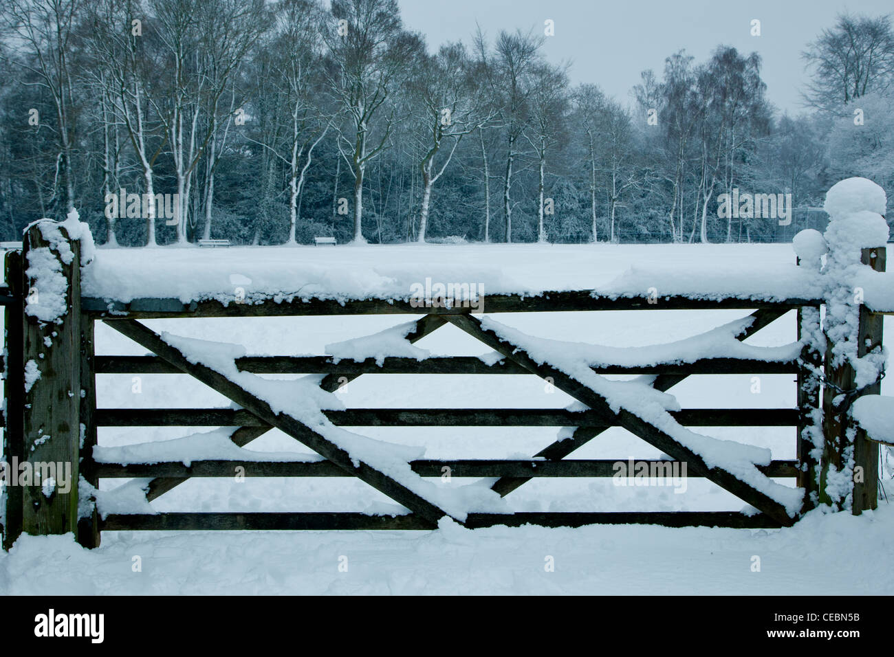 A snow covered five bar gate is closed across the front of a field with ...