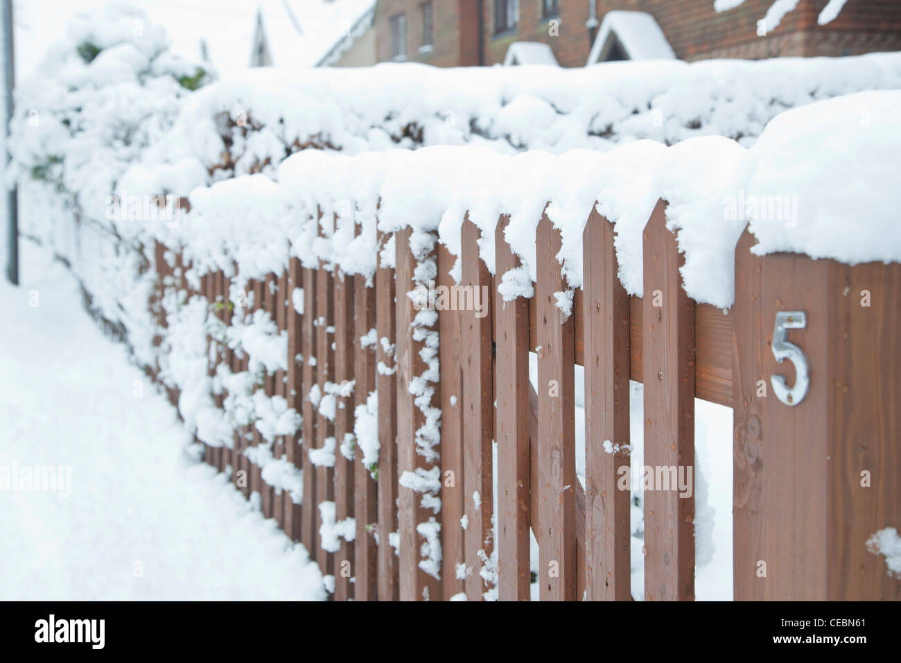 A fence runs through the photograph diagonally, obviously domestic ...