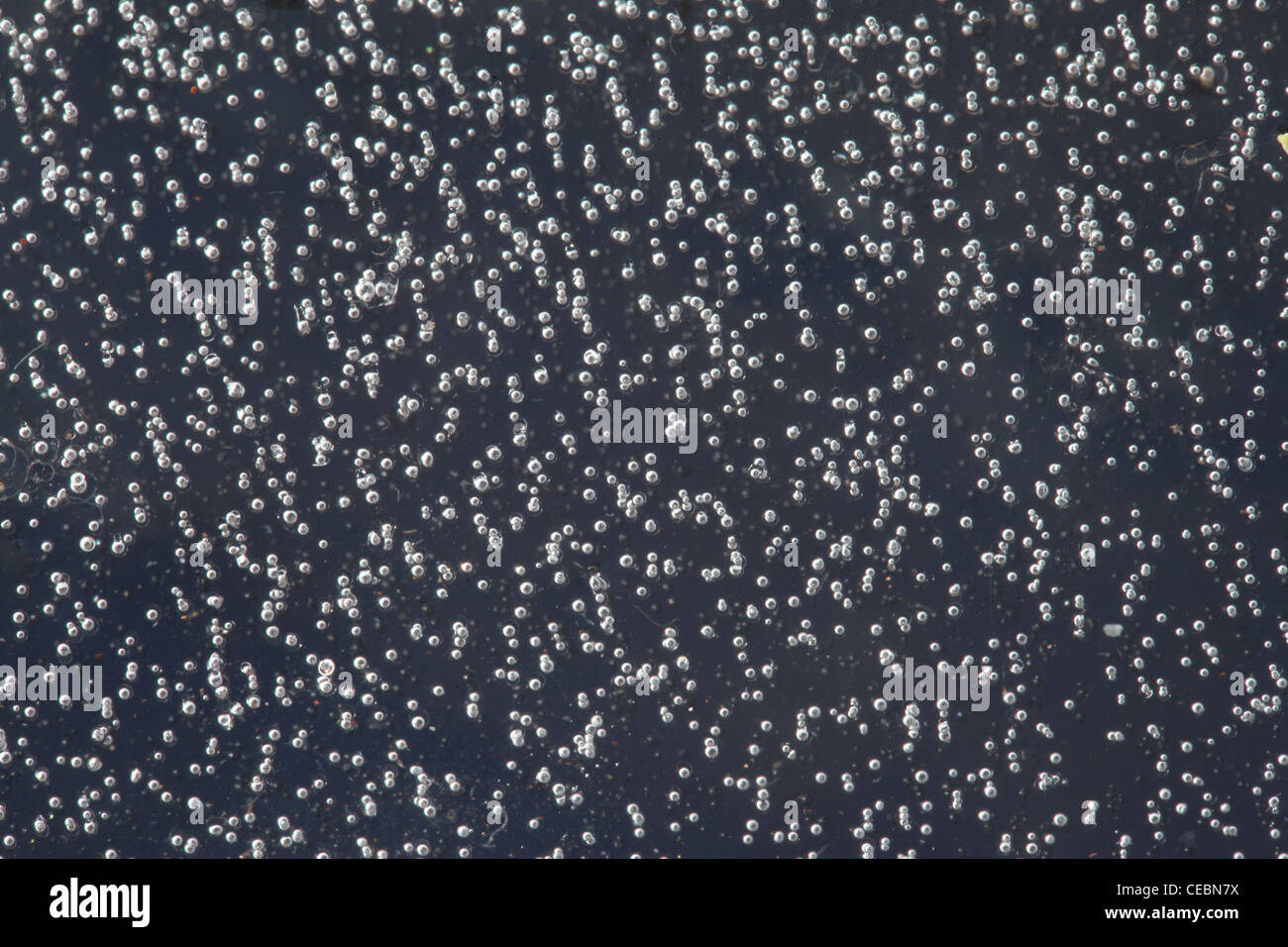 Bubbles in ice Stock Photo - Alamy