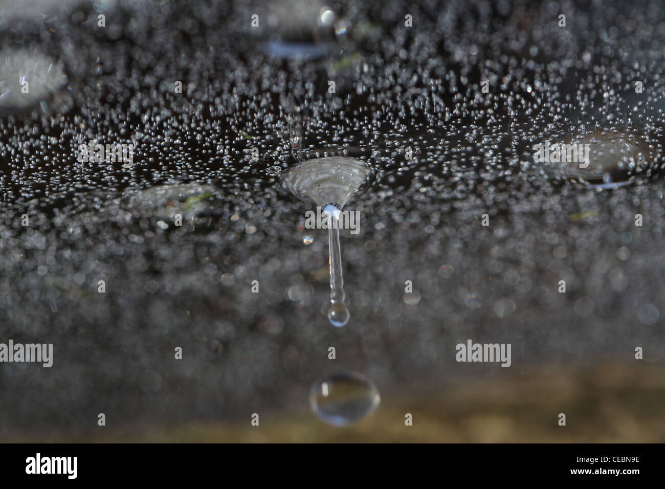 Ice drip hi-res stock photography and images - Alamy