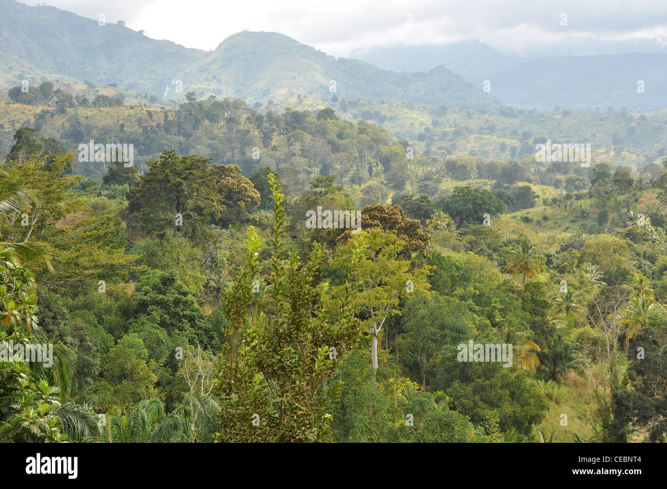 Morogoro tanzania hi-res stock photography and images - Alamy