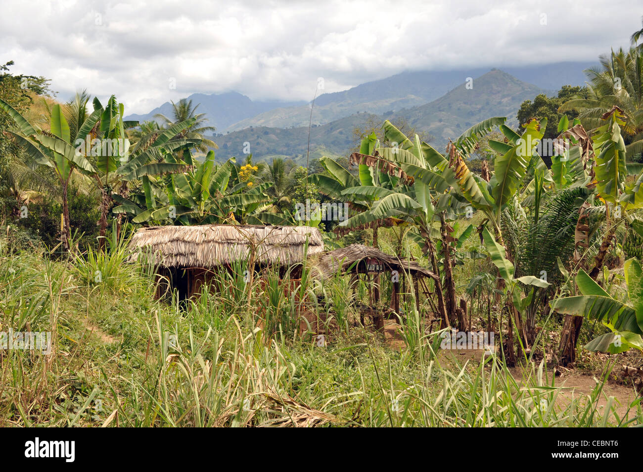 Landscape in the Morogoro region of Tanzania Stock Photo - Alamy