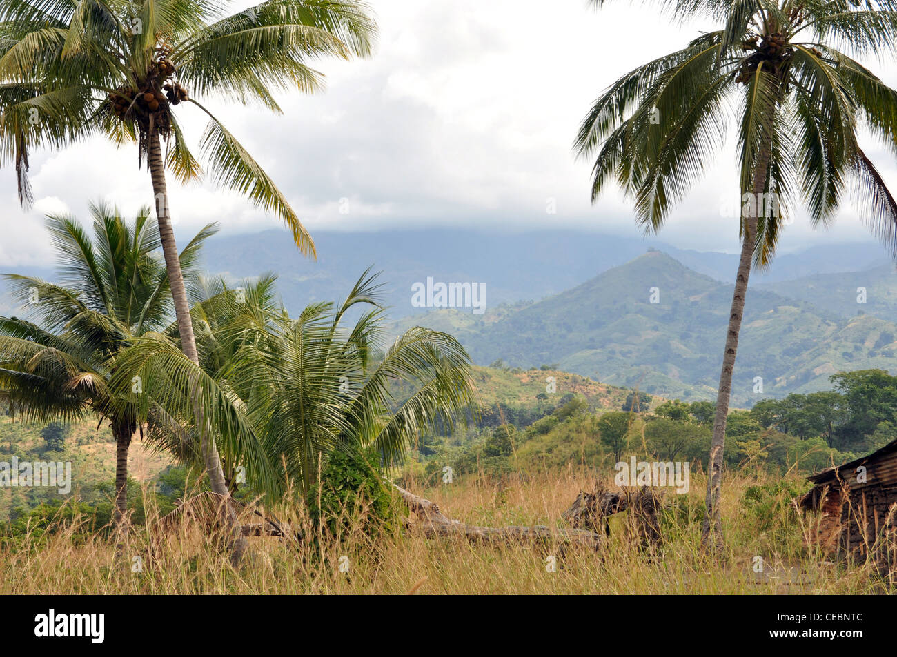 Morogoro tanzania hi-res stock photography and images - Alamy