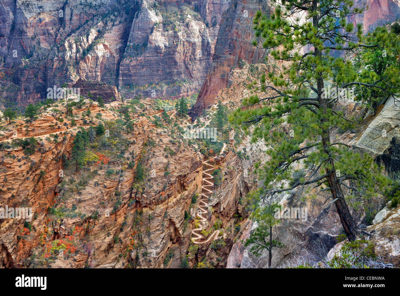 Walter's Wiggles. Zion National Park, Utah Stock Photo - Alamy