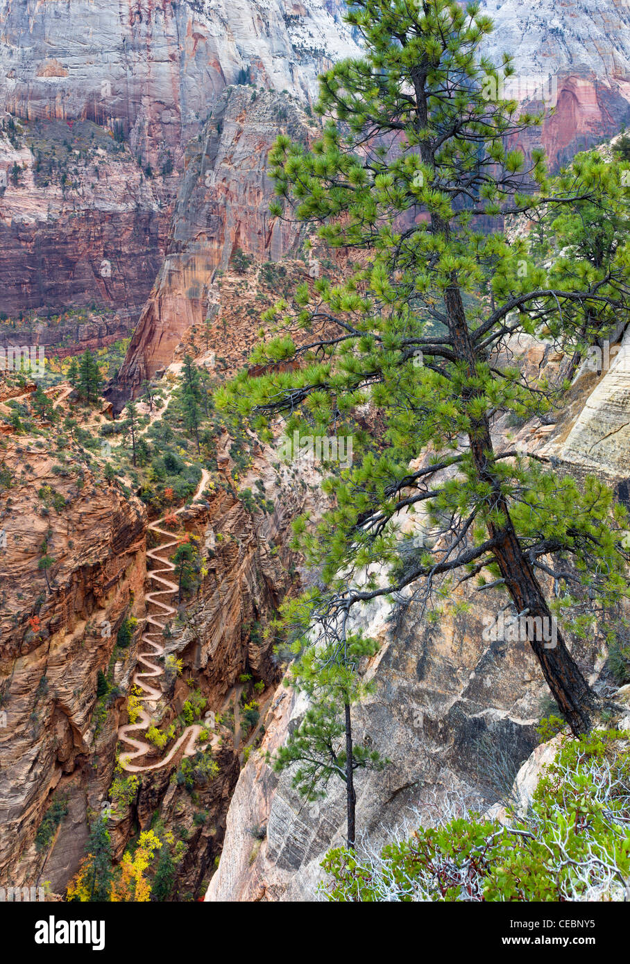 Angel's landing walters wiggles hi-res stock photography and images - Alamy