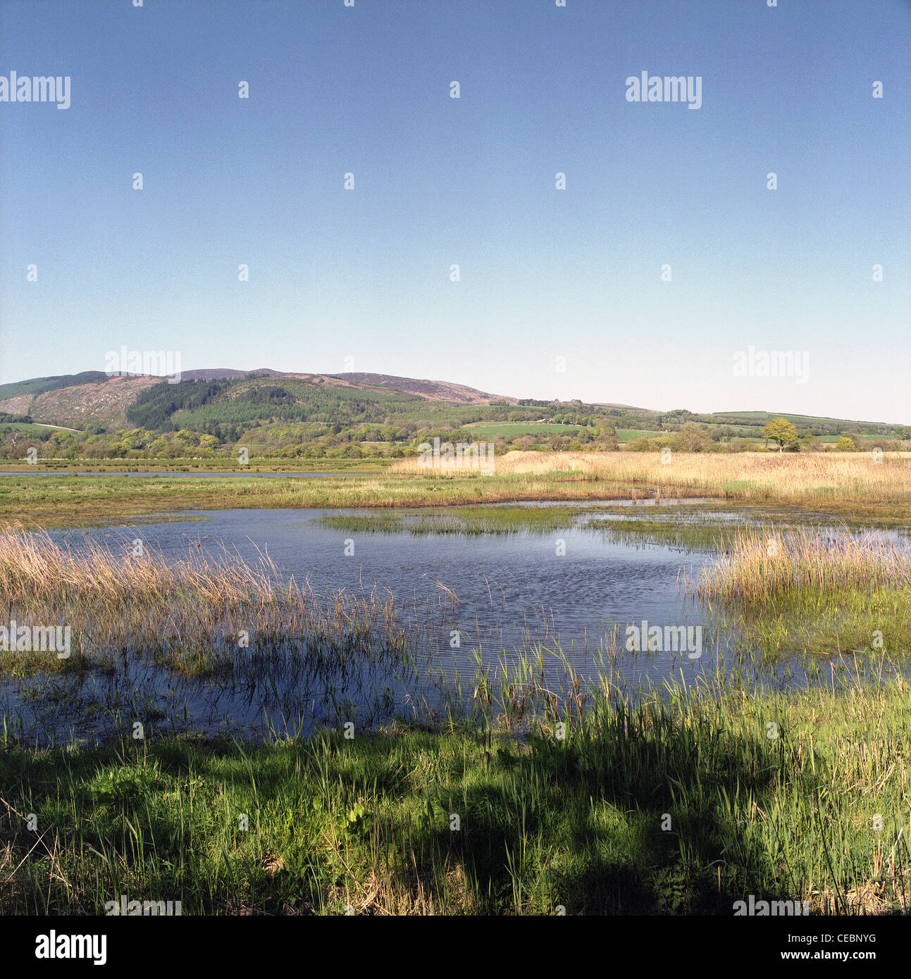 Mersehead Rspb Reserve High Resolution Stock Photography and Images - Alamy