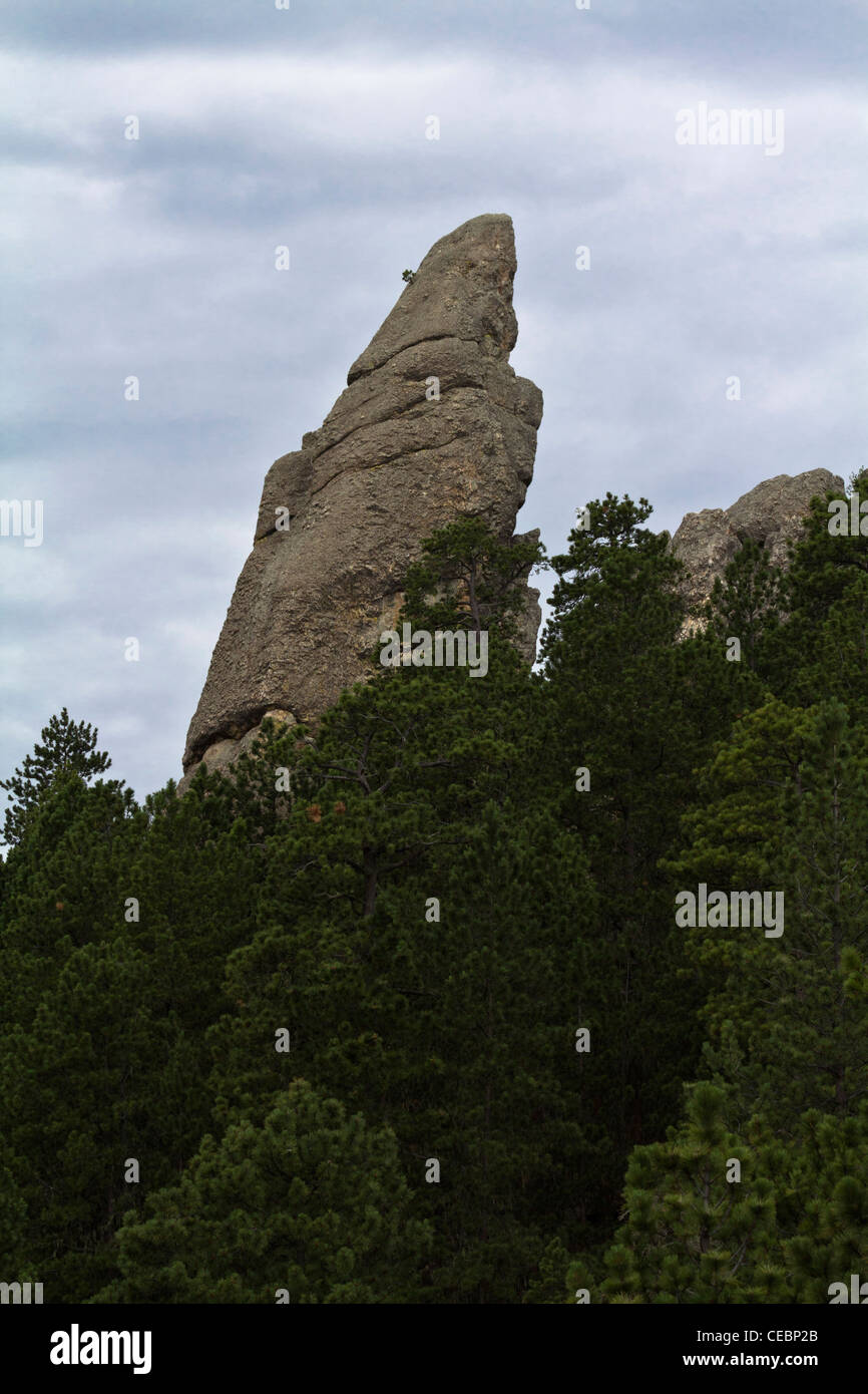 American Black Hills National forest Custer State Park Needles Eye ...