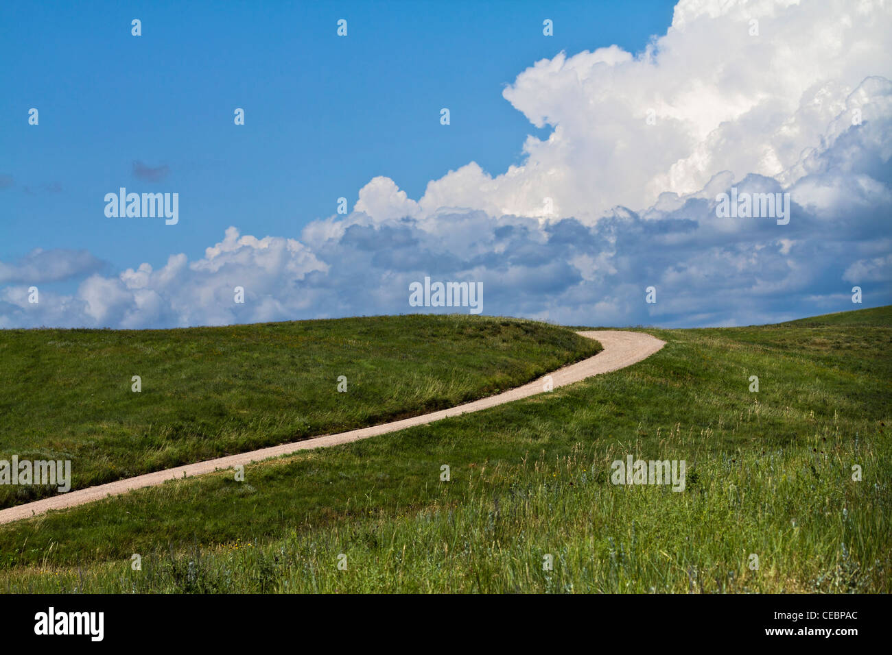 American Great Plains Custer State Park South Dakota the praire ...