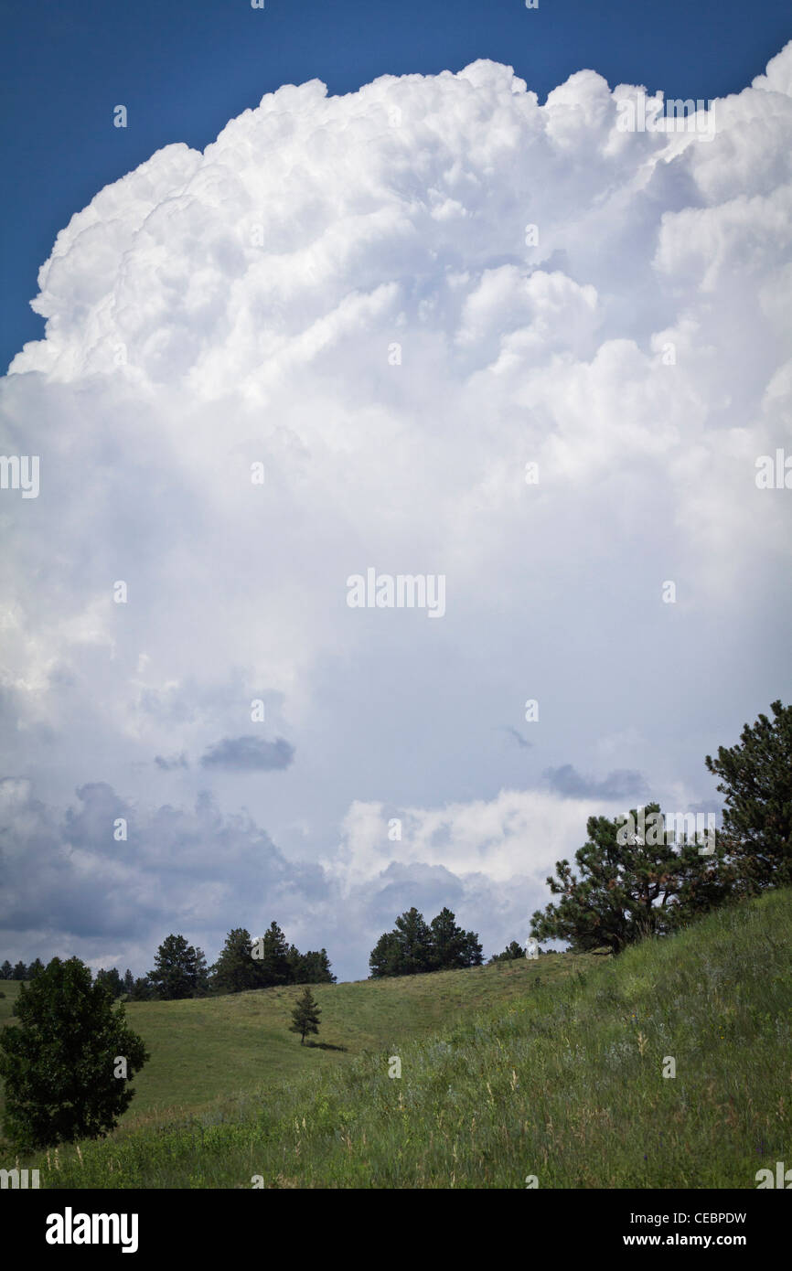 Hill park hi hi-res stock photography and images - Alamy