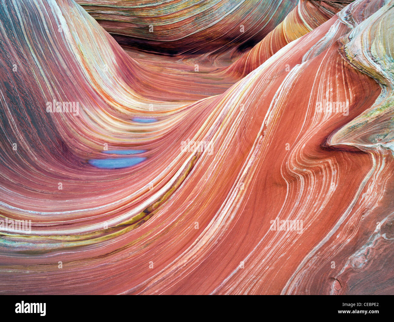 Sandtone formation in North Coyote Buttes, The Wave. Paria Canyon ...