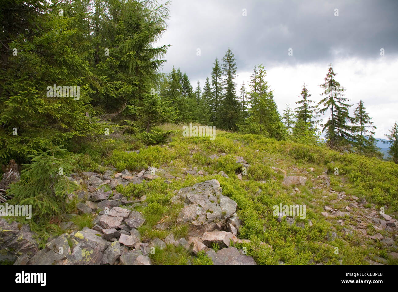 , Slovakia, Slovak, Republic, landscape, Donovaly, trees, mountains ...