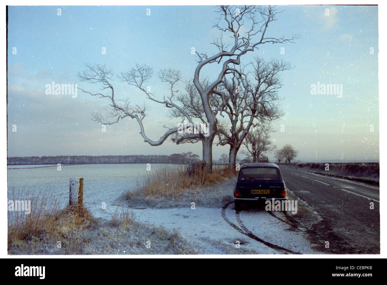 Blasted tree hi-res stock photography and images - Alamy