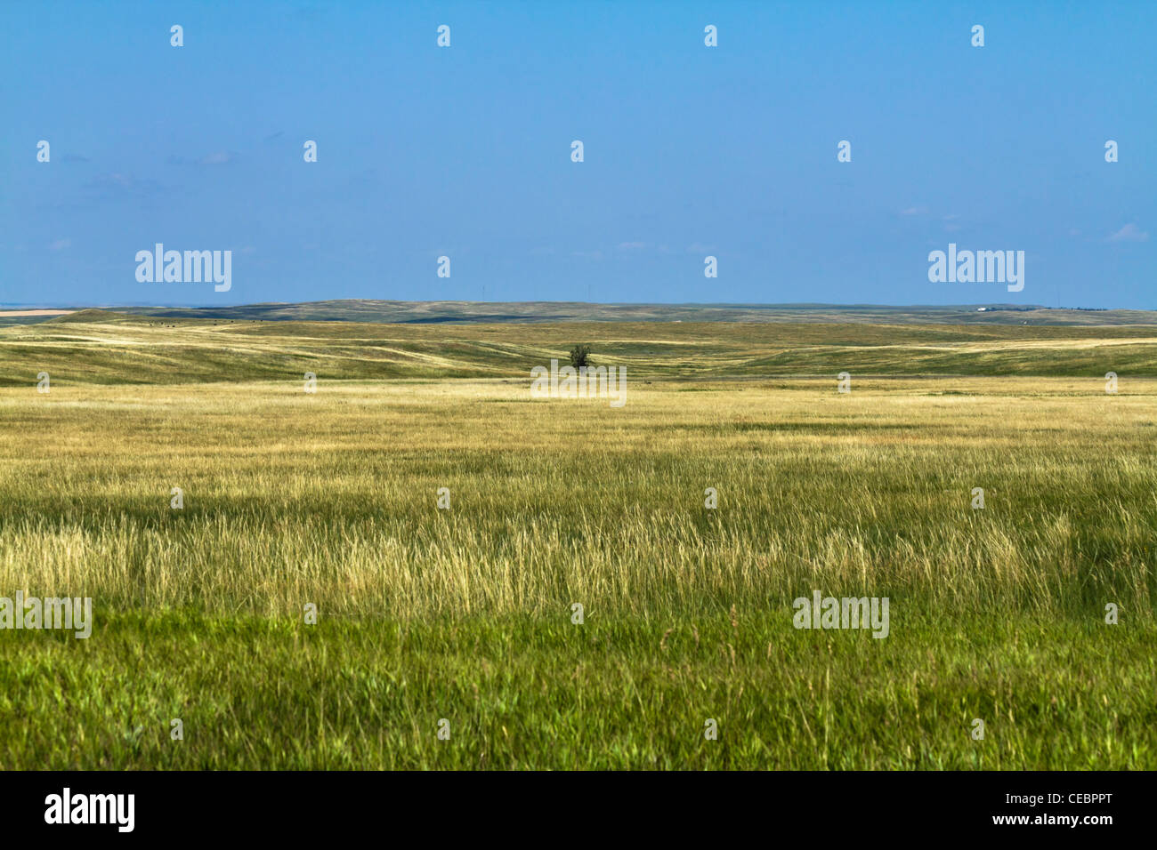 Main line hi hi-res stock photography and images - Alamy