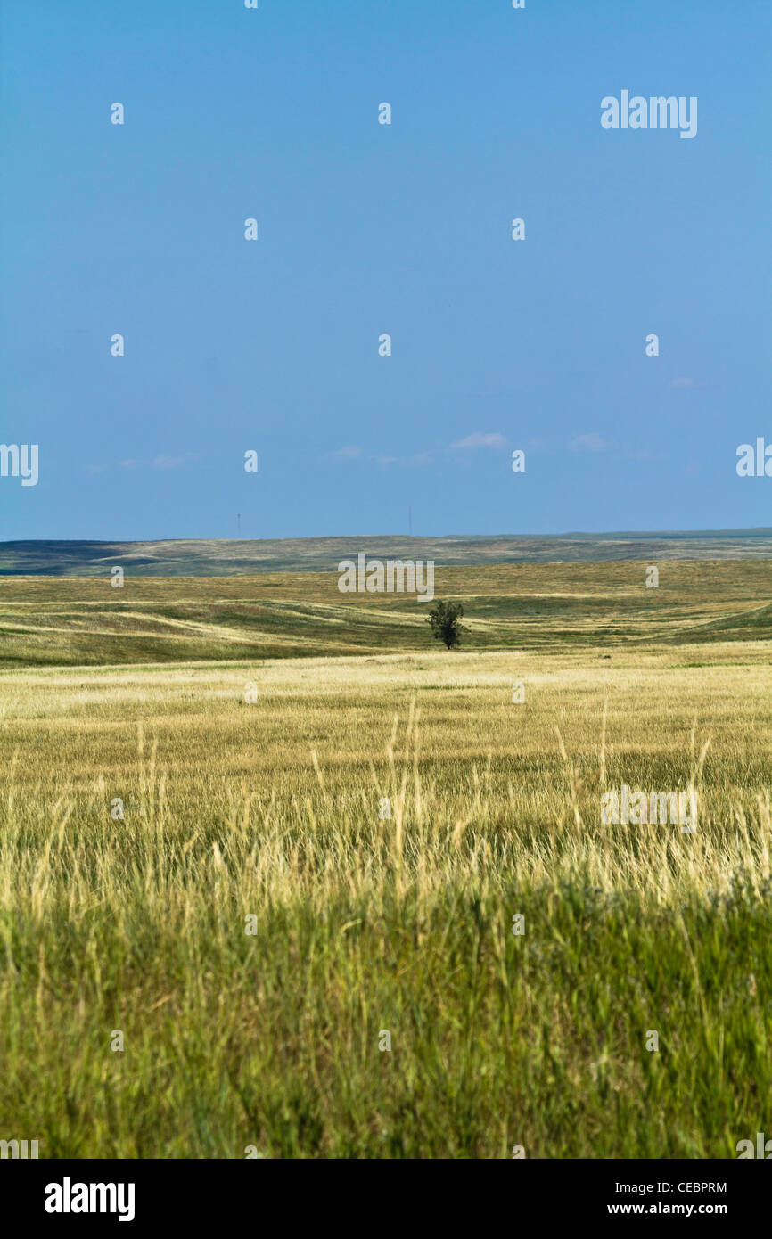 American Badlands prairie National Park South Dakota in USA US America ...