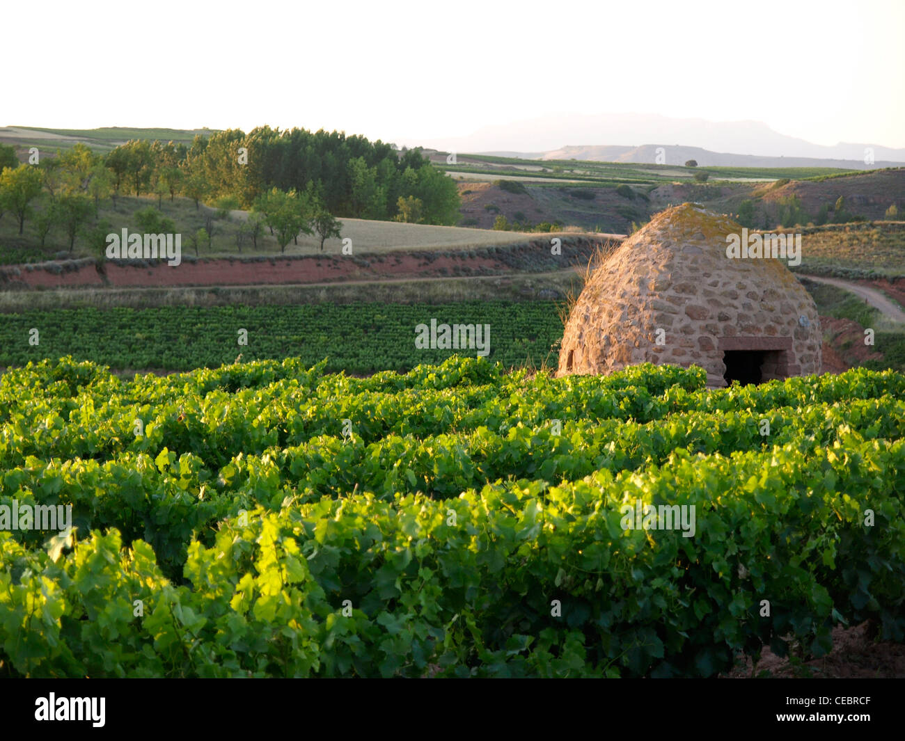 traditional hut in a vineyard Stock Photo - Alamy