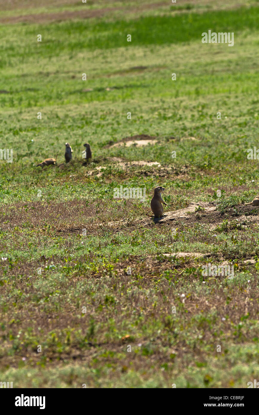 Grassland hi res hi-res stock photography and images - Alamy
