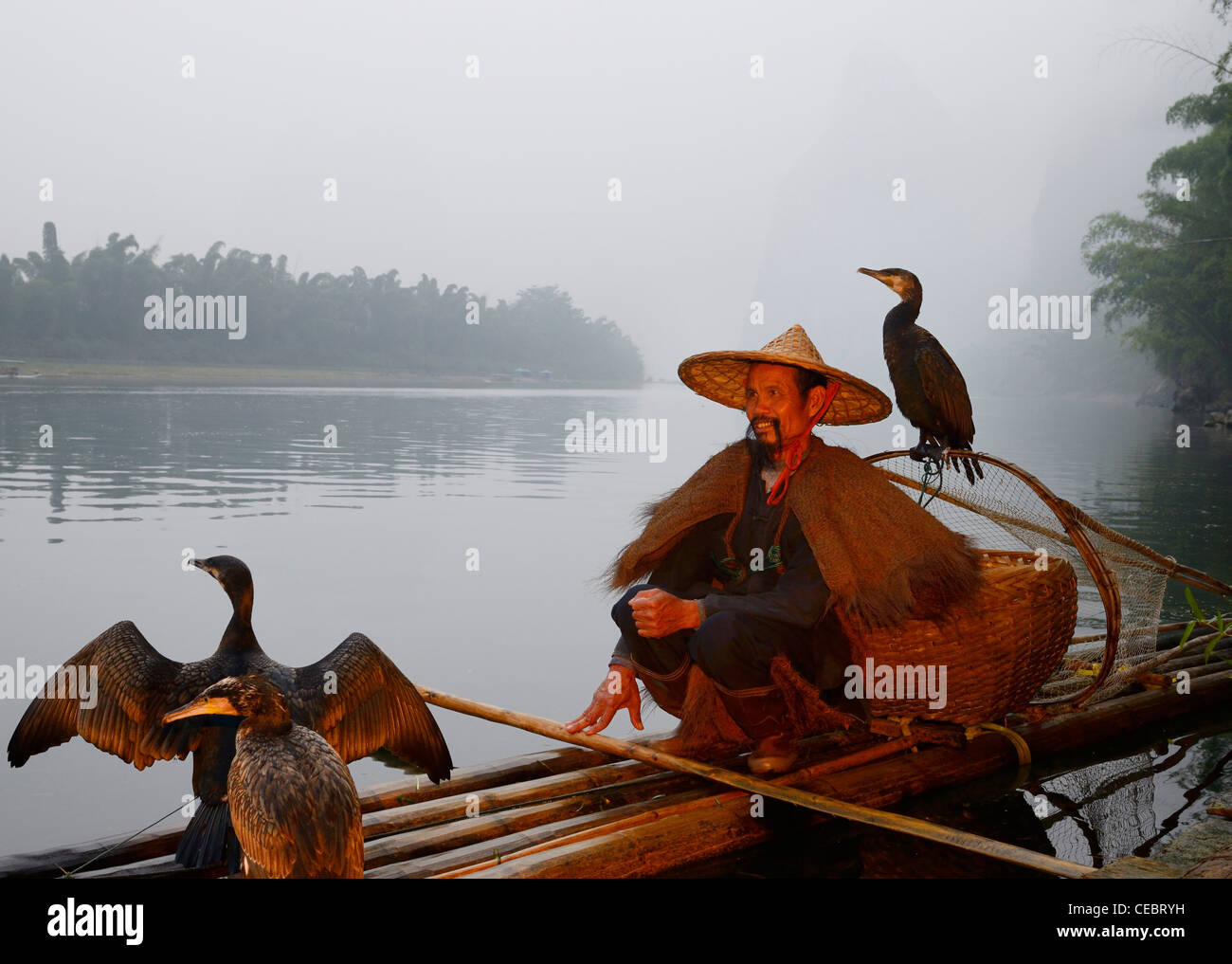 Raft for birds hi-res stock photography and images - Alamy