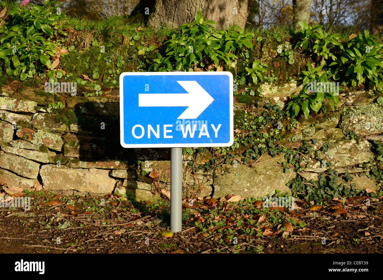 A one way sign Stock Photo - Alamy